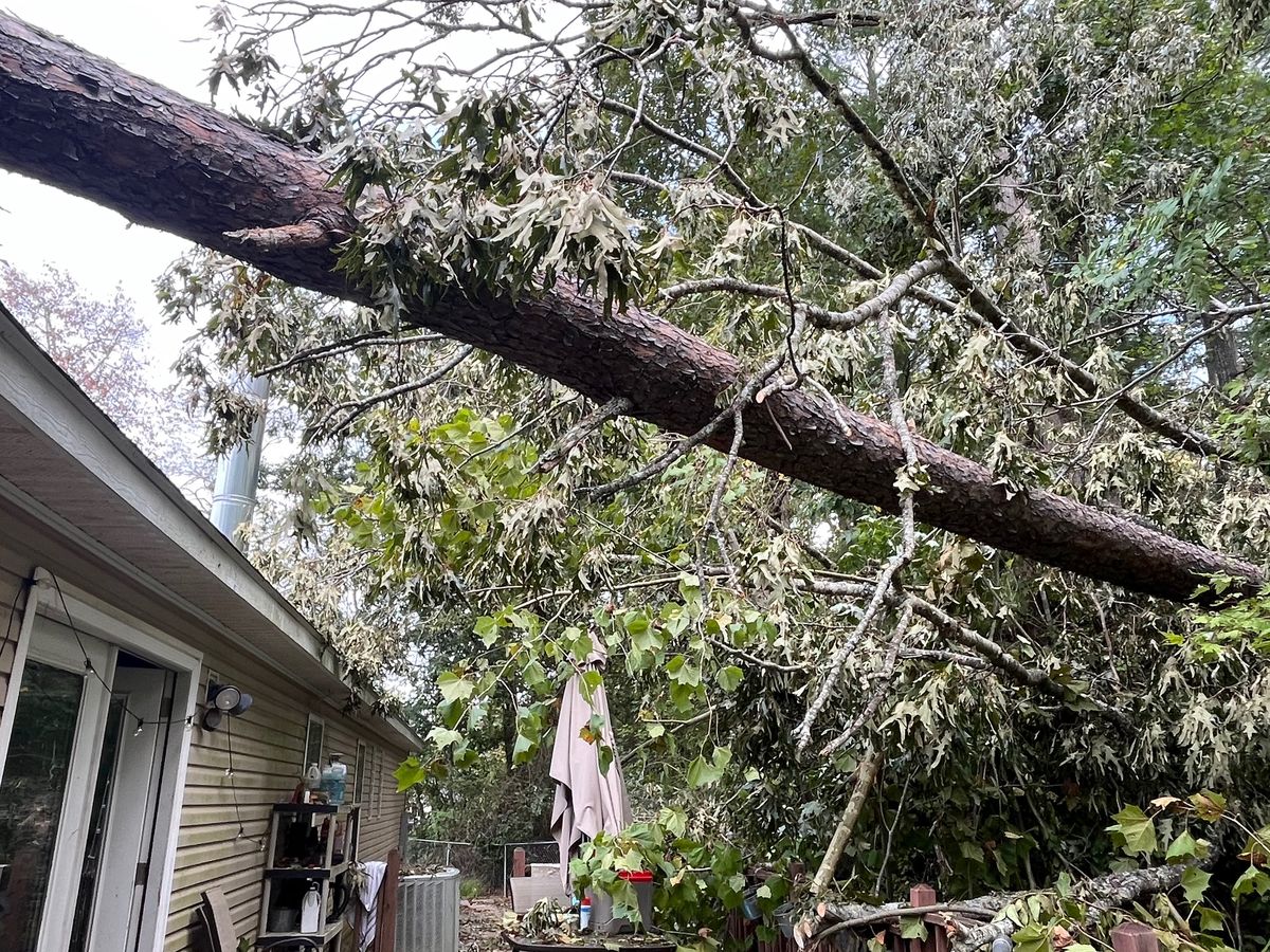 Fundraiser for Jessica Petree by Jennifer Ragsdale : Support Jessica ...