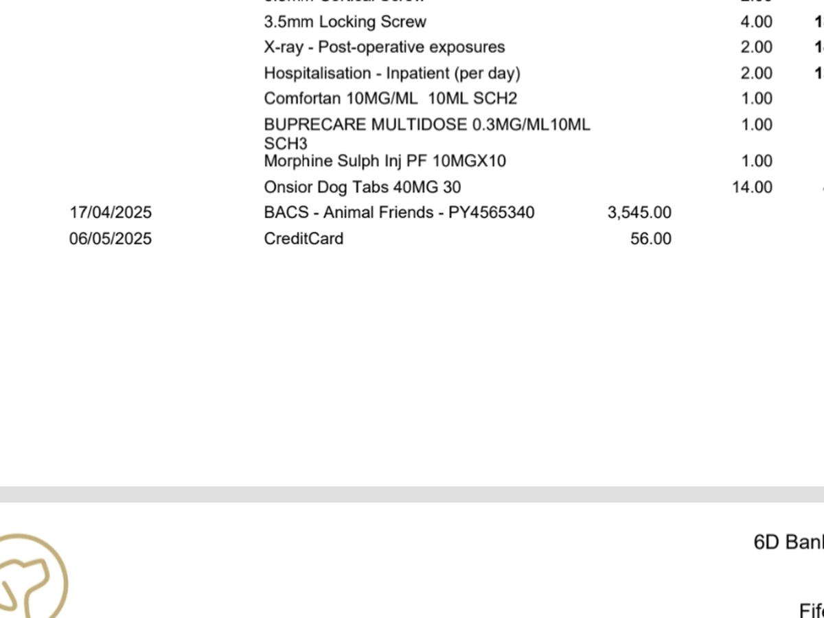 Fundraiser by Elizabeth Muir : My dog Poppy urgently needs a second ...