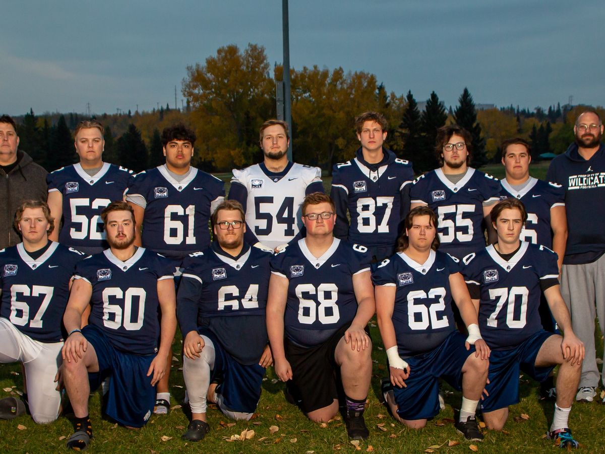 Fundraiser by Ben Fairbrother : Lets build the cats a new litter box
