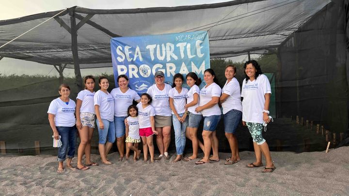 Fundraiser by Courtney Brady : Sea Turtle Nursery Building Campaign