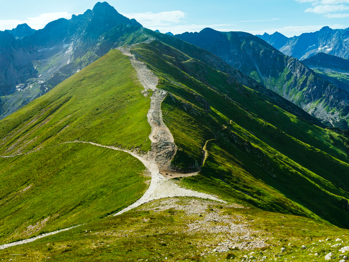 Fundraiser by Rudaviro Mvundura : Raise funds towards ILR in the Uk