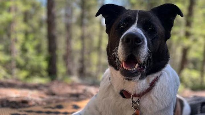 Fundraiser for Emily Chavez by Alayna Shaw : Support Mu's Recovery