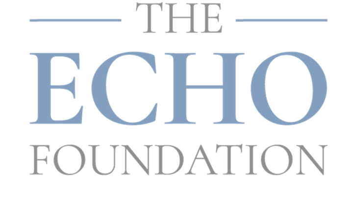 Fundraiser by Stephanie Ansaldo : The Echo Foundation: Footsteps Ukraine