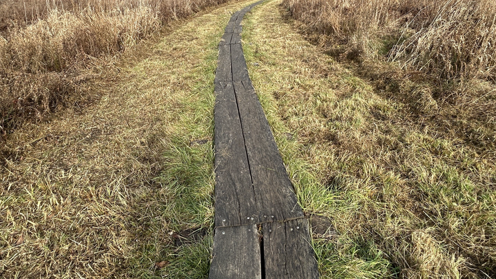 Fundraiser by Jason McKay : Support James in Rebuilding Bog Bridge Path ...
