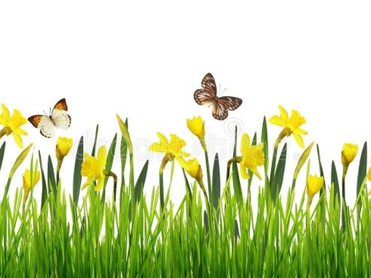 Fundraiser by Circle Gardens : Circle Gardens 2026