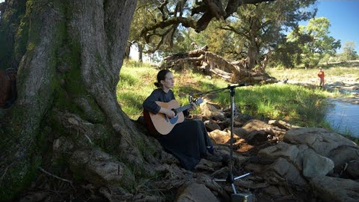 Fundraiser by Aimee Volkofsky : Seeking support for Boneyard Projects ...