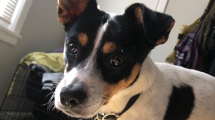 Fundraiser by Scott Yoder : Nilsson's Surgery