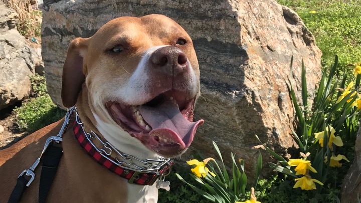 Fundraiser by Alex Furst : Abel’s End of Life Medical Expenses