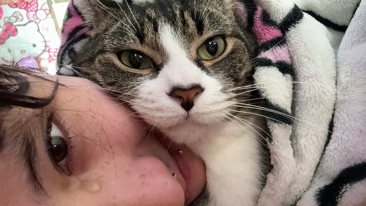 Fundraiser by Kayla Haney : Help Socks Join His Family in the UK