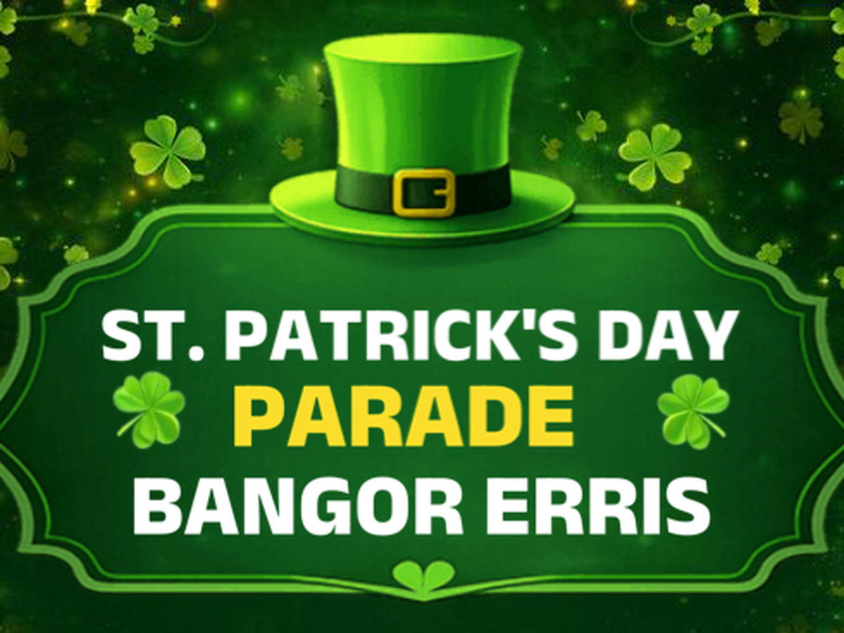 Fundraiser by Damien Reilly : ST. PATRICK'S DAY PARADE BANGOR ERRIS