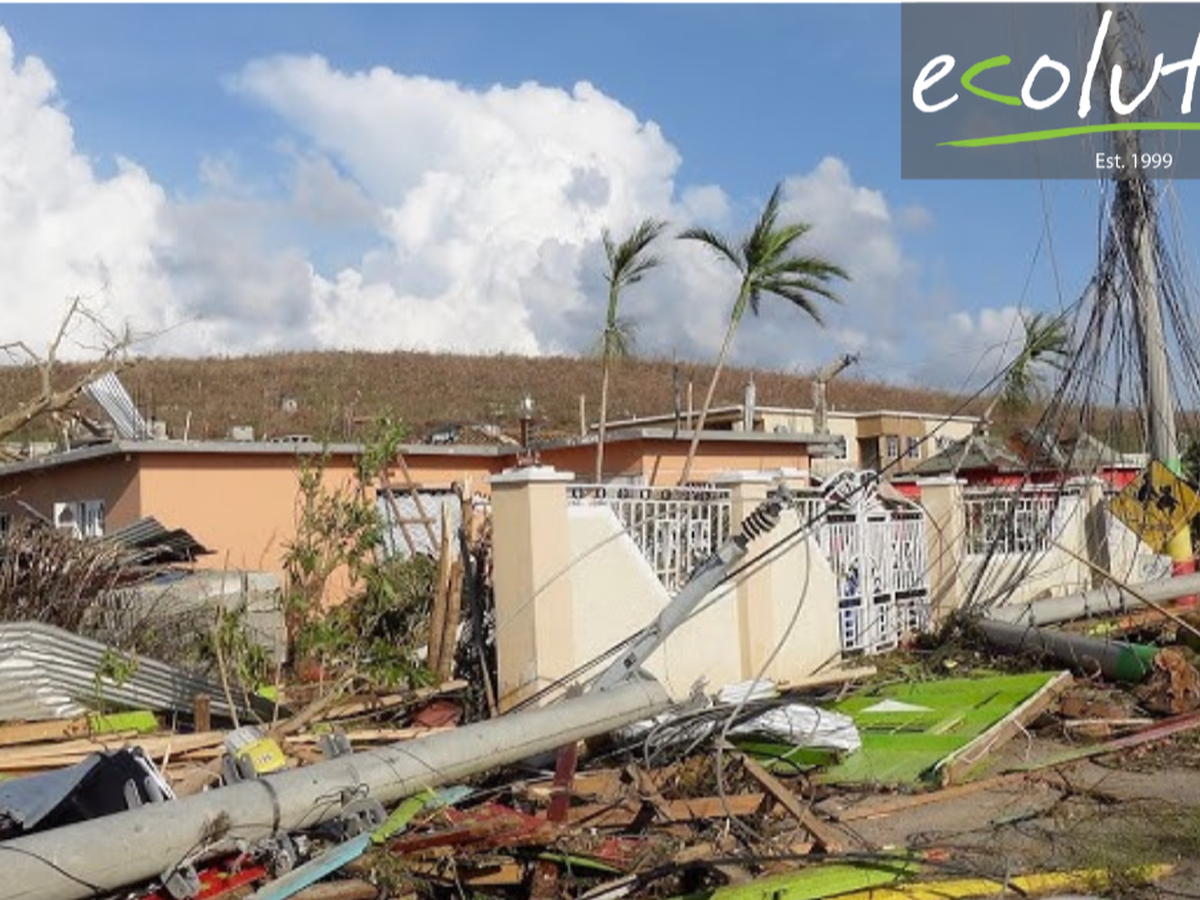 Fundraiser by Ecolution Group : Support Jamaica: Westmoreland’s Path to Recovery