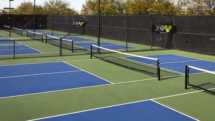 Fundraiser by Amherstburg Pickleball Association APA : Help APA raise ...
