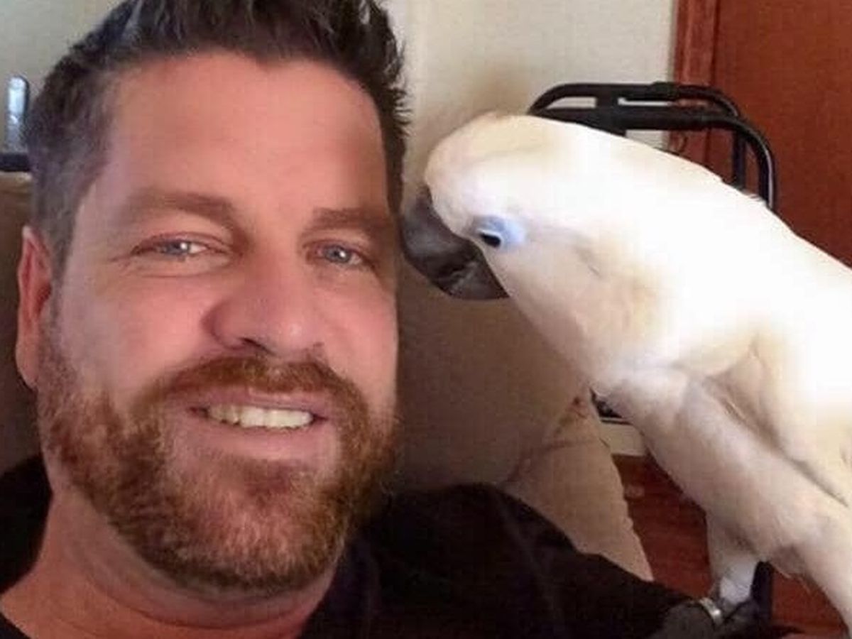 Marc Lambert's Instagram, Twitter & Facebook on IDCrawl