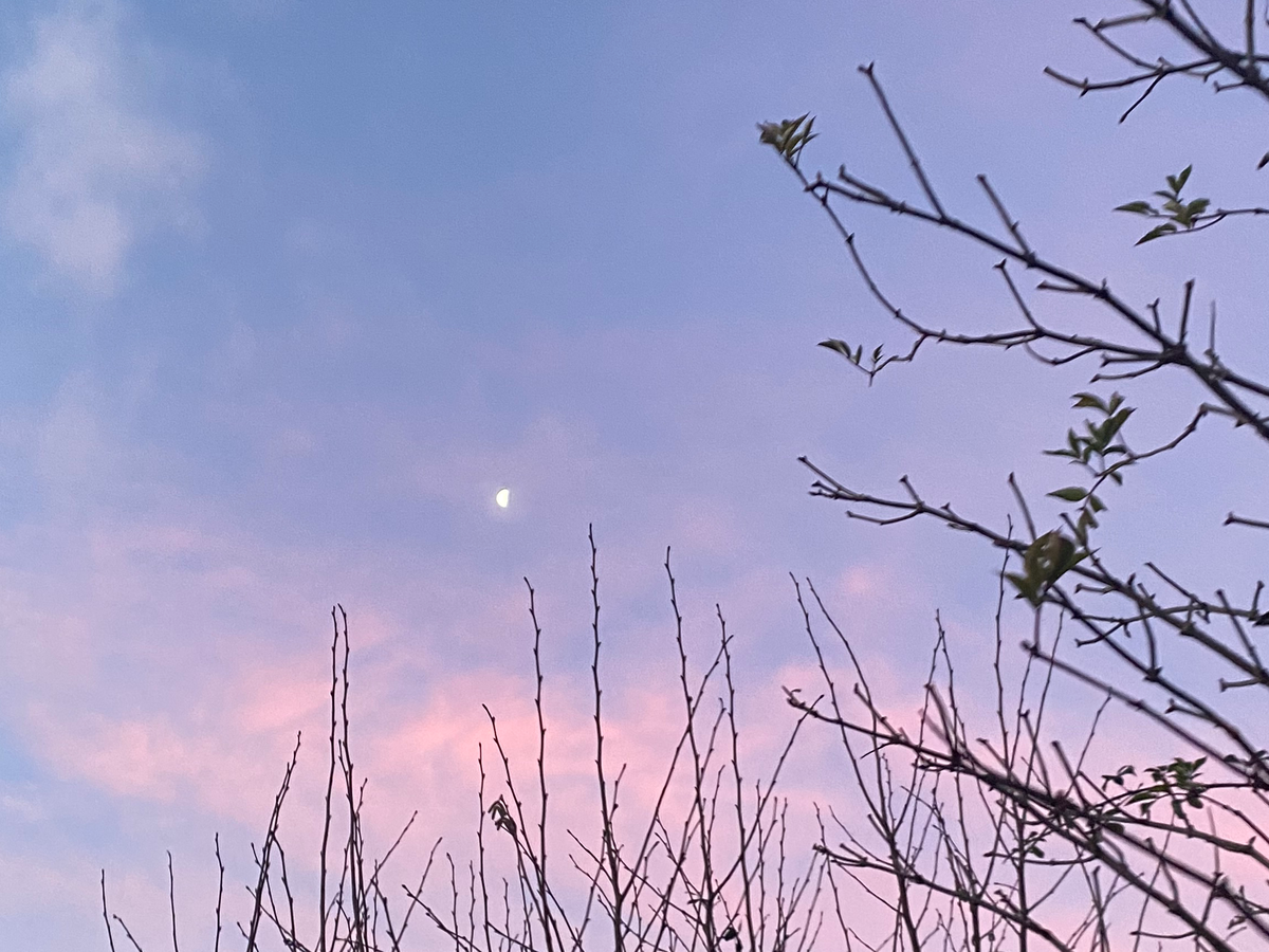 Fundraiser by Bethany King : this is so I can afford to get my family Christmas presents