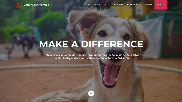 Fundraiser by Pavithra Rajesh : Birthday Fundraiser: Citizens for Animals