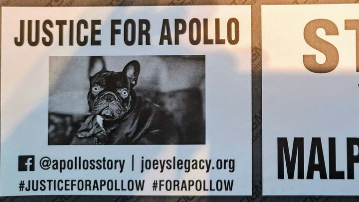Fundraiser by David Wert : Justice for Apollo Wert