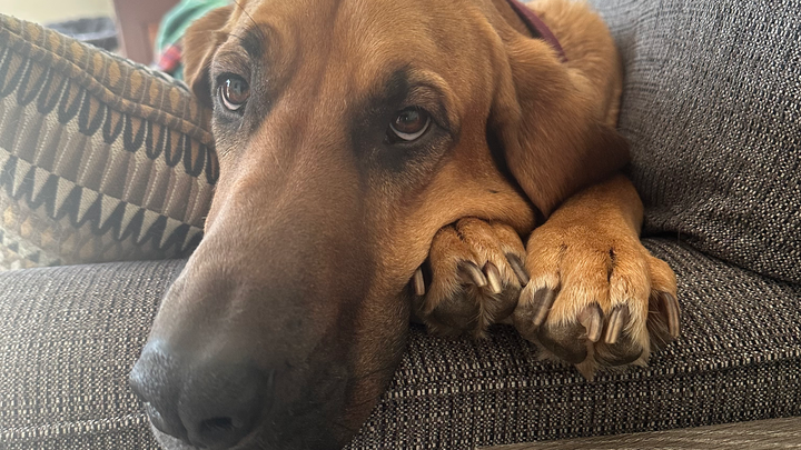 Fundraiser by Fiona Miles-Mason : Support Wolcott Children: End School ...