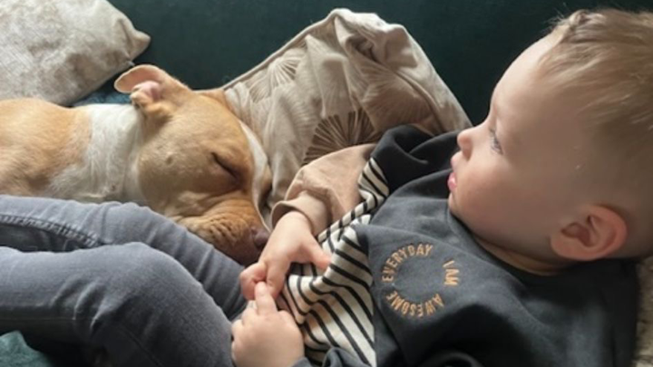 Fundraiser for Jade Pettit by Cat White : Help get Flora home