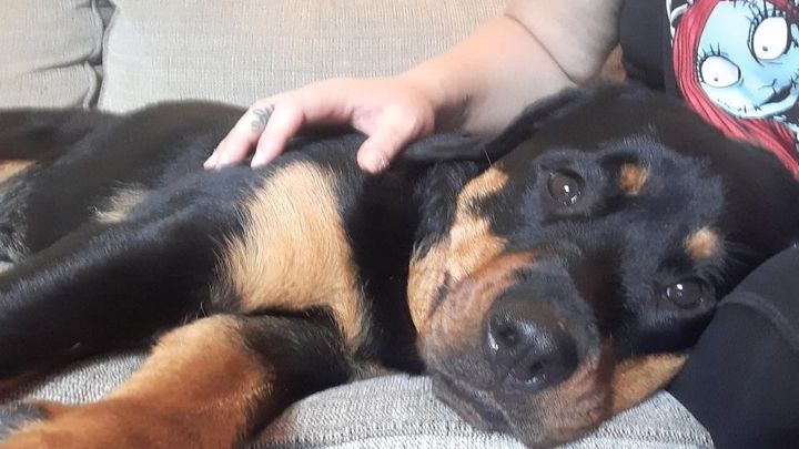 Fundraiser for Chris Amerson by Sharon McGowen : Libby