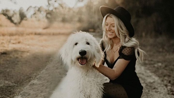 Fundraiser for Josephine Ray by Christina Lombardo : Golden Doodle pup ...