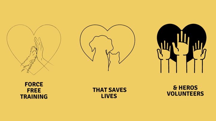 Fundraiser by Grace Gibson Cain : Help us save 10 animals lives