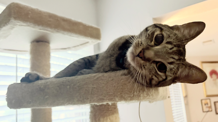 Fundraiser for Matthew Duncan by Jennifer Duncan : Help cover the cost ...