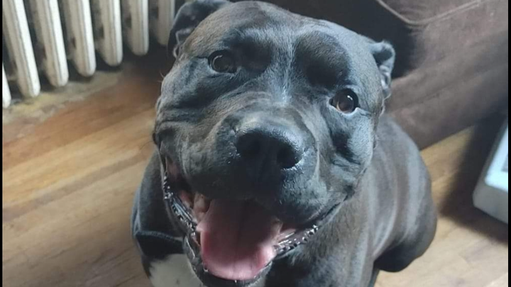 Fundraiser by Morgan Knutson : Help Todd Rebuild After House Fire