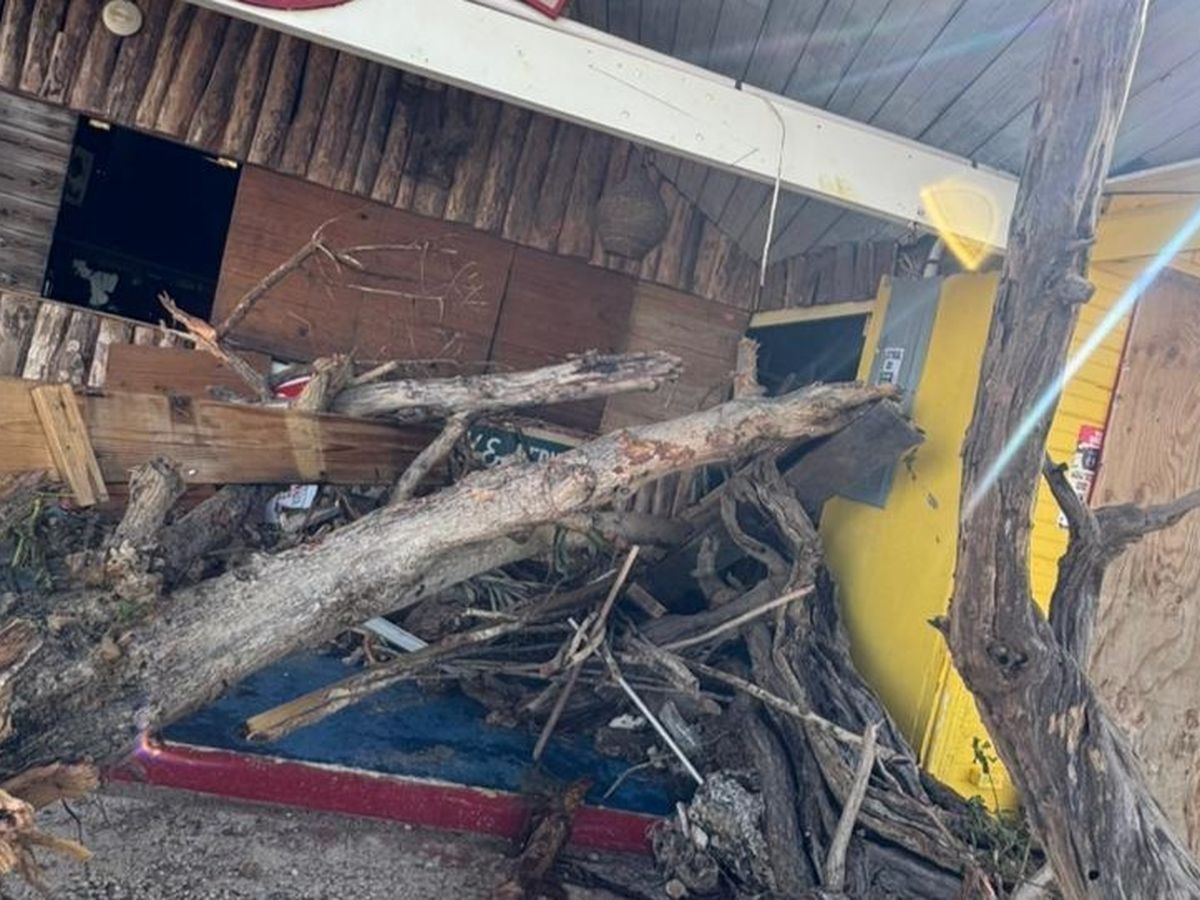 Fundraiser by LORAINE MOXAM : Help Loraine Moxam Aid Hurricane Victims