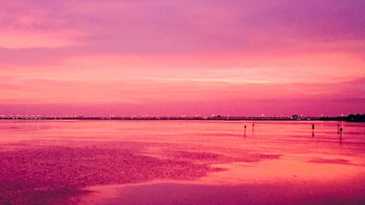 Fundraiser by Murray Shames : Surgery Department Entertainment Fund