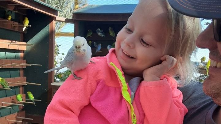 Fundraiser by Nick Priscilla Roy : Nadley's Journey