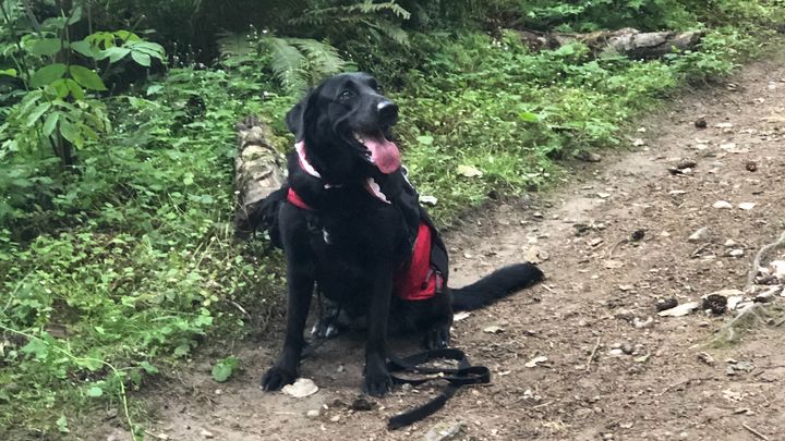 Fundraiser by Lisa Jilek : Support Ruby's Remarkable Leukemia Care Response