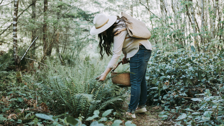 Fundraiser by Sara Butters : Help Sara build the Hawthorn & Honey ...