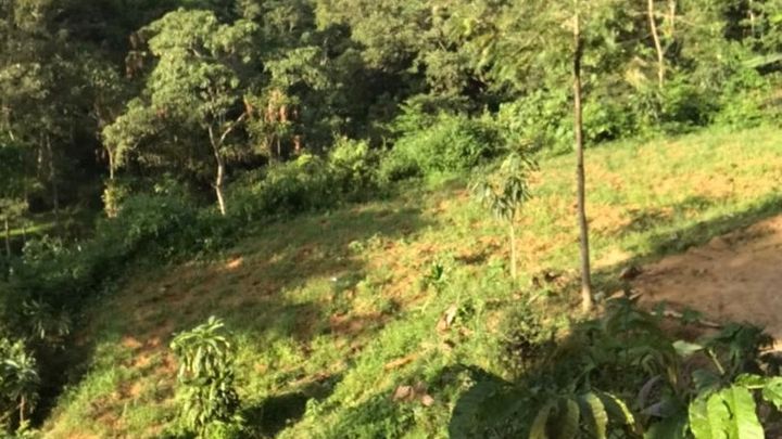 Fundraiser by Javier Gómez García : Support Cosmas' Project in Arusha ...