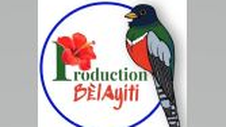 Fundraiser by Carole Demesmin : Support a talented young writer