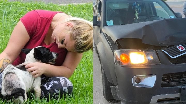 Fundraiser by Jenna Loos : Destiny, street dog rescuer needs our help.