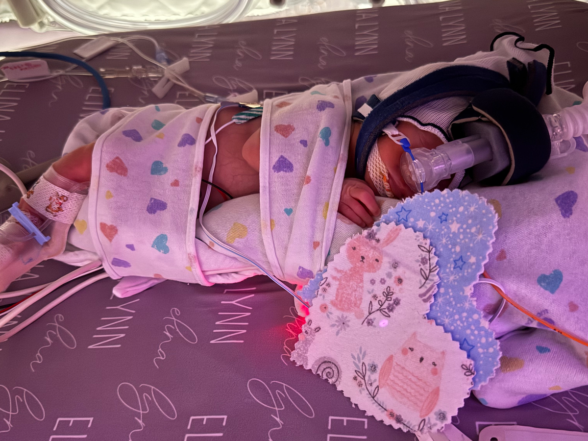 Fundraiser for Kristen Werner by Lauren Quickel : Help the Werner ...