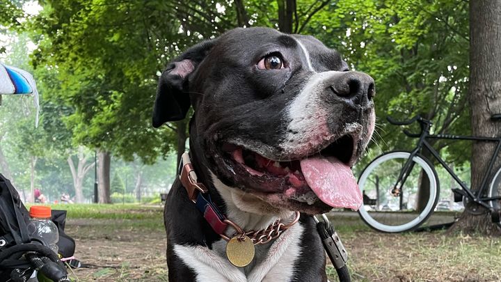 Fundraiser for Jeremiah Gould Edwards by Sarah Piche Senecal : Poor ...