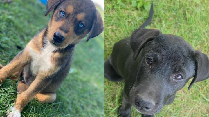 Fundraiser for Angela Brodeur by Morgan Brodeur : Help my family keep ...