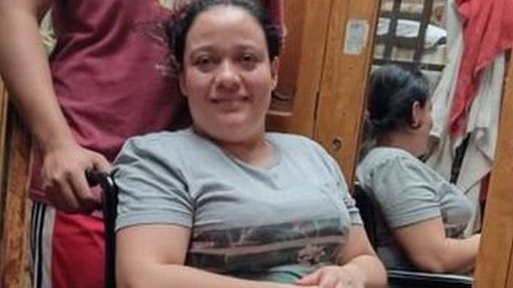 Fundraiser by Theodore Green : Help Wendy Walk Again- Please