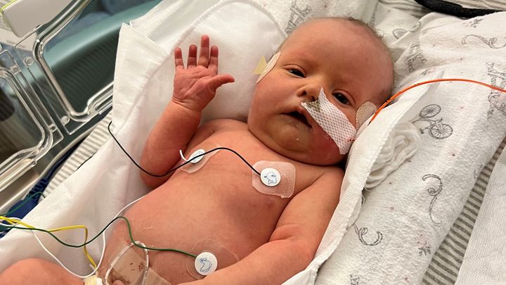 Fundraiser for Calli Koplitz by Amanda Koplitz : Support Baby Addi ...