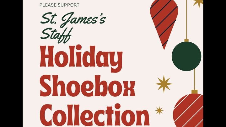 Fundraiser for Sophie Goodman by Sophie Goodman : St James's Hospital ...