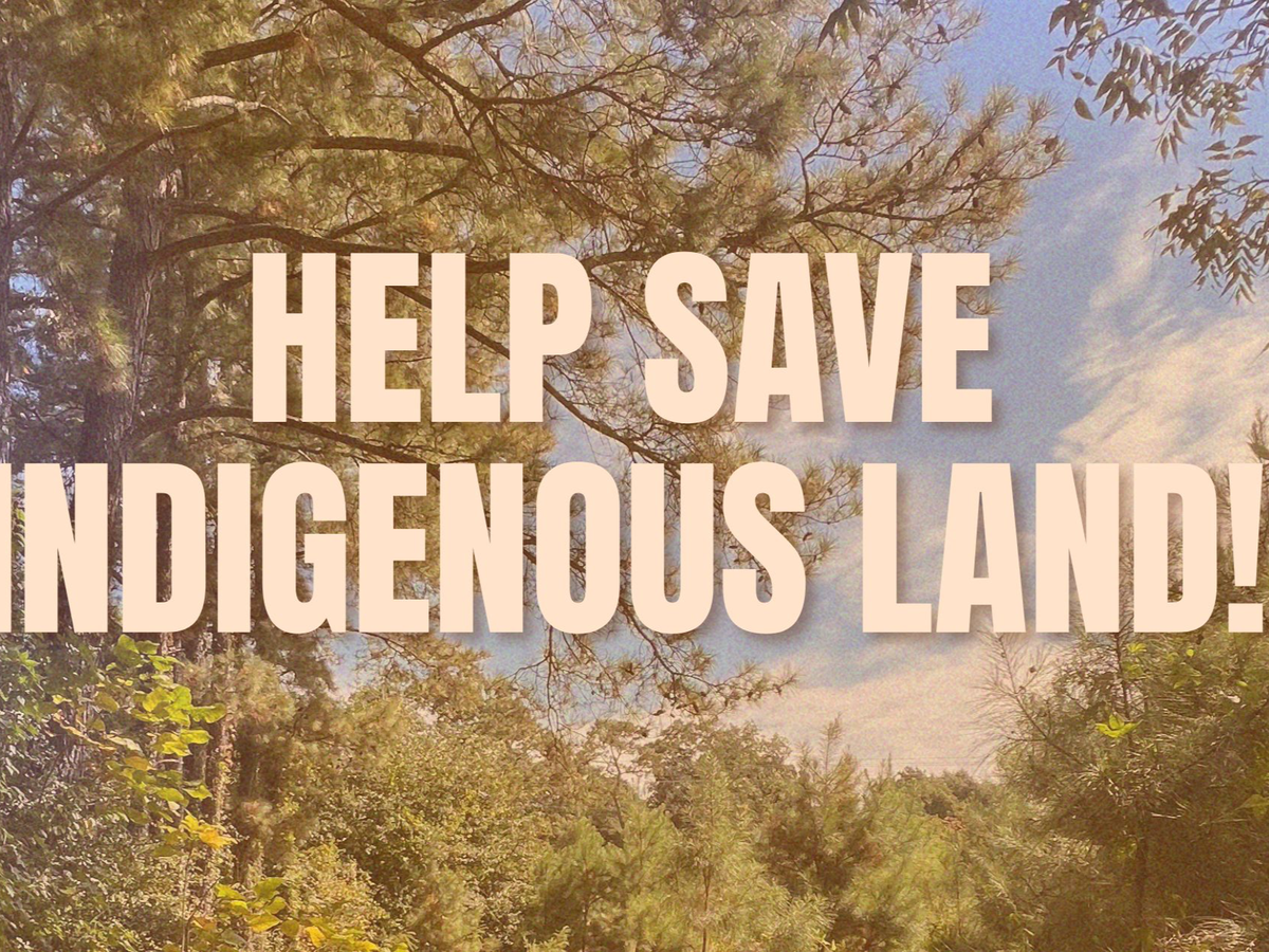 Fundraiser by Ashley Salaz : Help Save Indigenous Land!