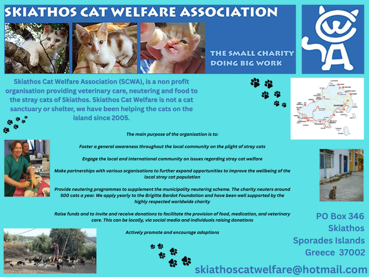 Fundraiser by Jacqueline Rowberry : Fundraiser for Skiathos Cat Welfare ...