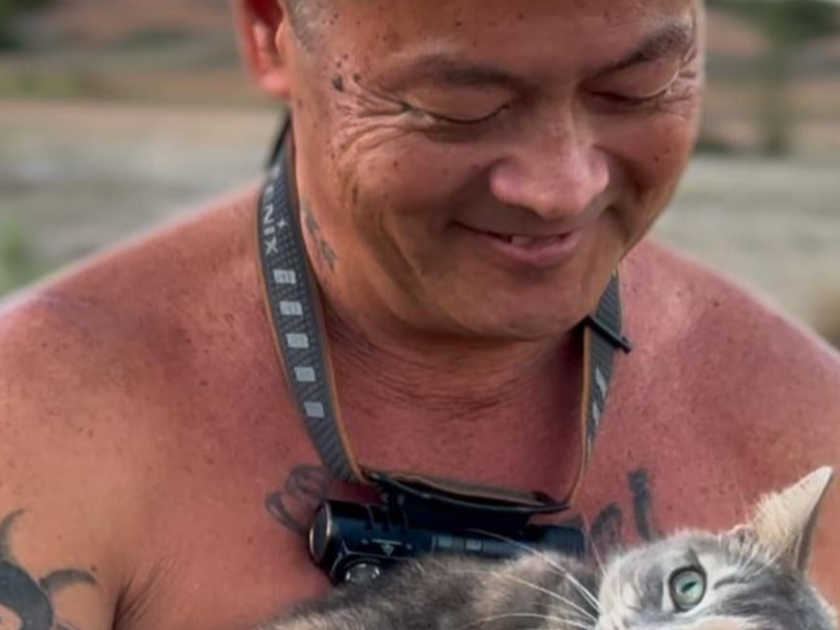 Fundraiser by Akiyo Murata : Help Sean Nakano Feed Maui's Cats