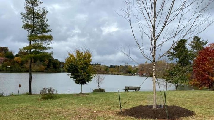 Fundraiser by John Fritchie : Tree Canopy Campaign for Beaver Lake