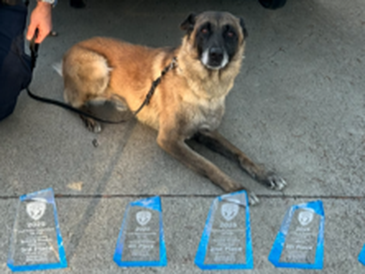 Fundraiser for Travis Higgins by Jordan Lutzinger : Help Arwin Heal ...