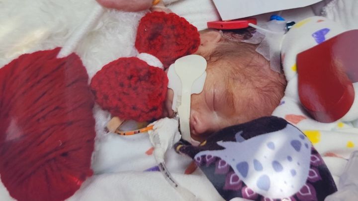 Fundraiser by Emma Maxey : Funeral expenses for Maxwell