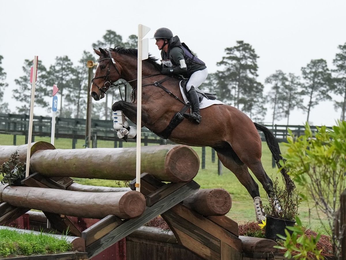 Fundraiser by Carrie Mulks : Fund Fin’s AEC Entry!