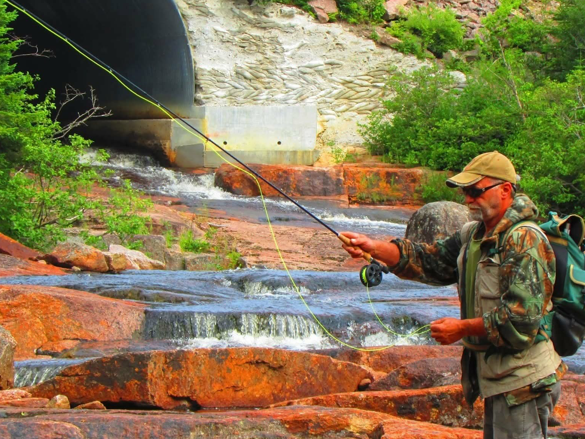 Fundraiser by Francis Jean : Richard Michaud, nouvellement greffé des ...