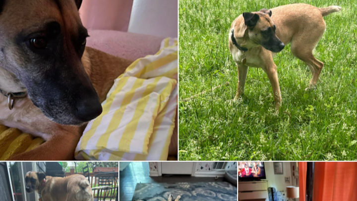Fundraiser by Alyssa Passmore : Aid for Jade: Help Jade's Mom Pay for ...